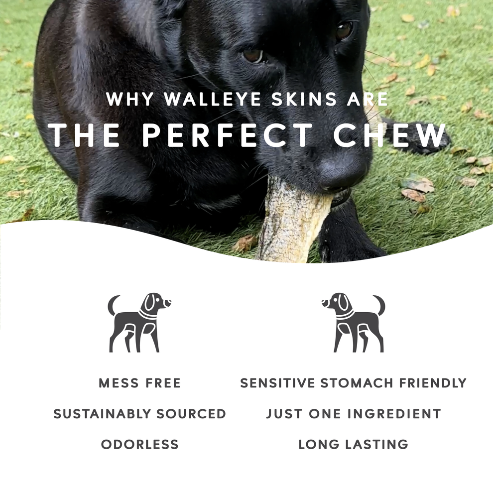 Walleye Skins – Earthly Pet